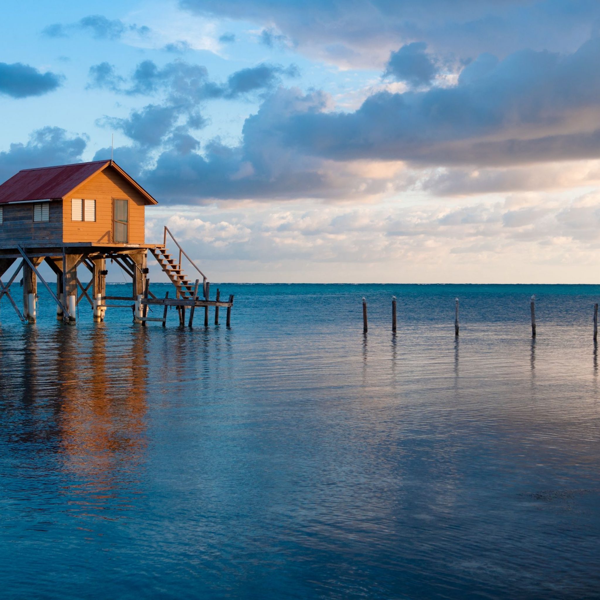 huawei BTL belize | RCR Wireless News