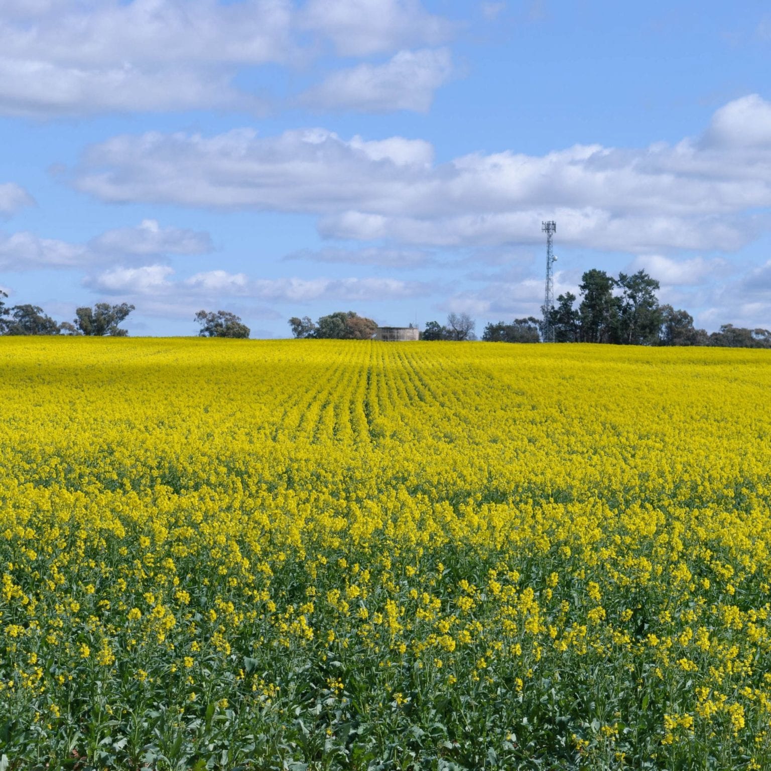 GigFire buys Rural Comm, expanding to 10th state | RCR Wireless News