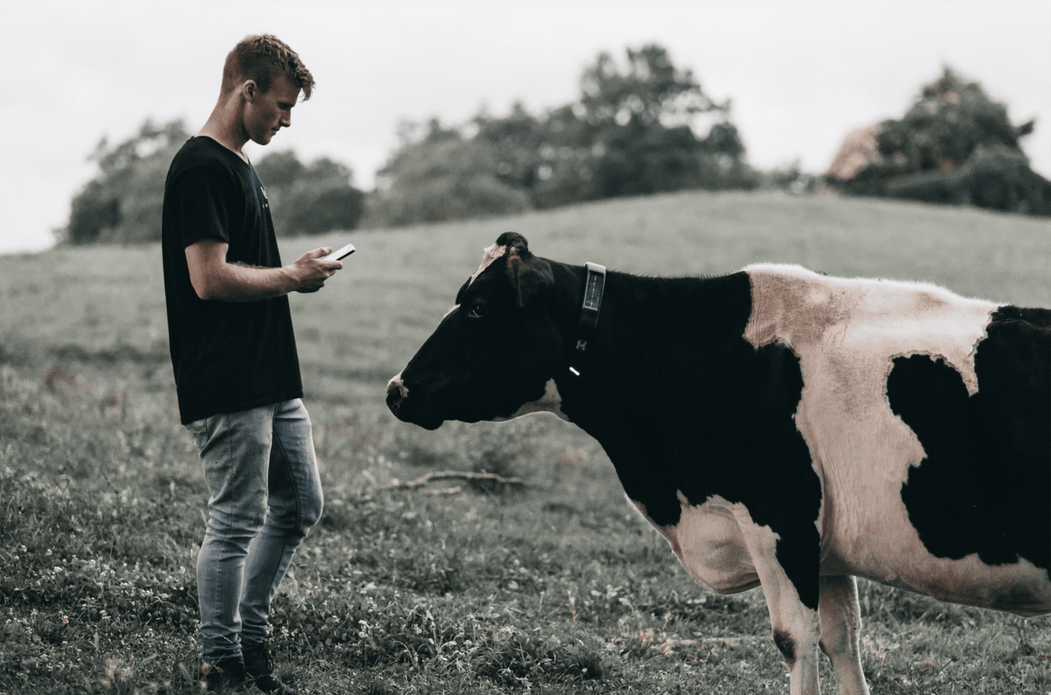 How a network-of-networks can help enable smart farming (Reader Forum)