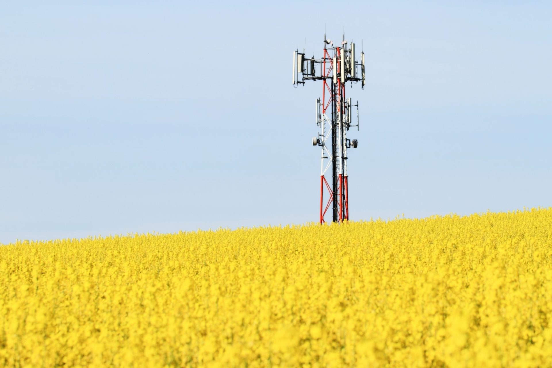 Connecting agriculture: LoRa, NB-IoT, LTE, and 5G – and the digital ...