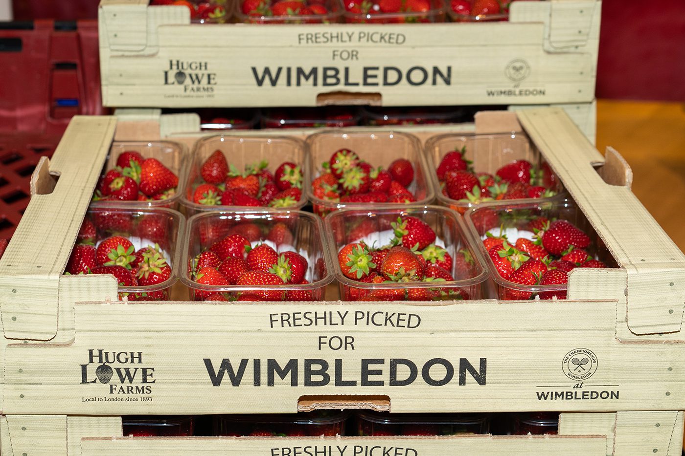 Vodafone rigs-up 1.5 million Wimbledon strawberries with IoT monitoring ...