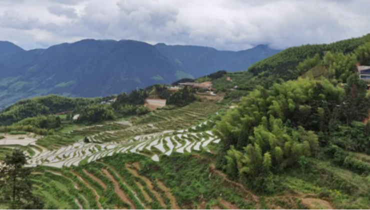 Ericsson, China Mobile to use 5G for natural disaster management