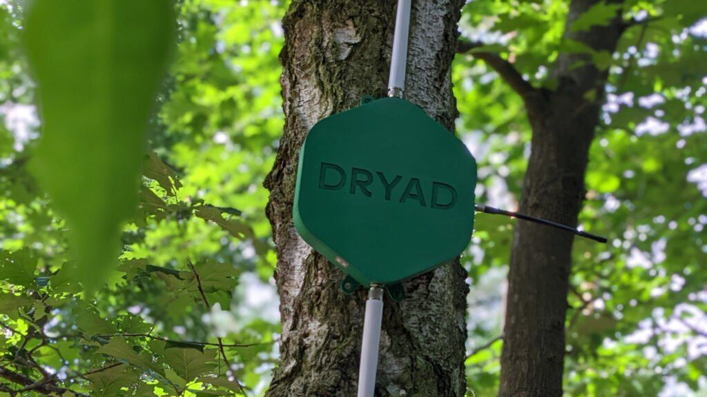 Dryad picks Kinéis to add satellite IoT to LoRaWAN fire detection system