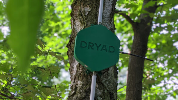 Dryad Networks gets UK wildfire detection gig with National Trust